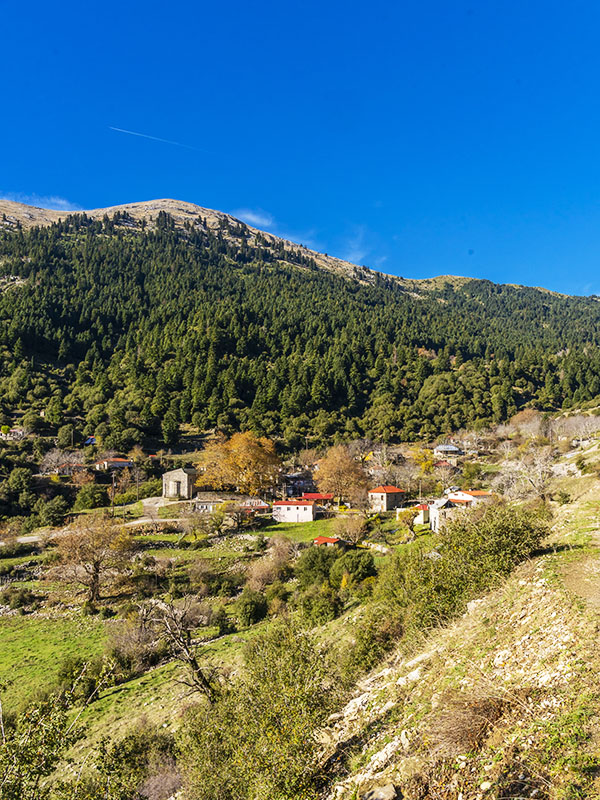 Ανατολική Αργιθέα - Δήμος Αργιθέας Καρδίτσας