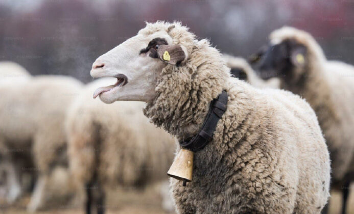 ΠΑΡΑΤΑΣΗ ΤΗΣ ΕΙΔΙΚΗΣ ΚΙΝΗΤΟΠΟΙΗΣΗΣ ΣΤΙΣ Π.Ε. ΚΑΡΔΙΤΣΑΣ – ΛΑΡΙΣΑΣ ...